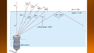 2_Basics of Optical Fiber.pptx