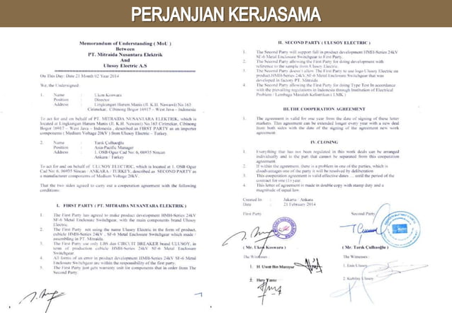 MNE Presentation | PPT