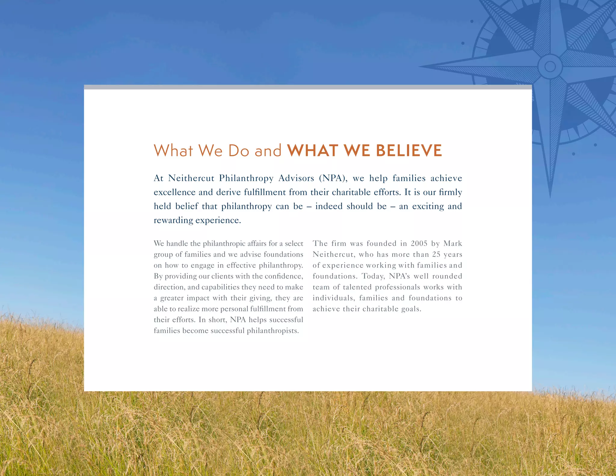 NPA Brochure | PDF | Government Support and Welfare | Financial Assistance