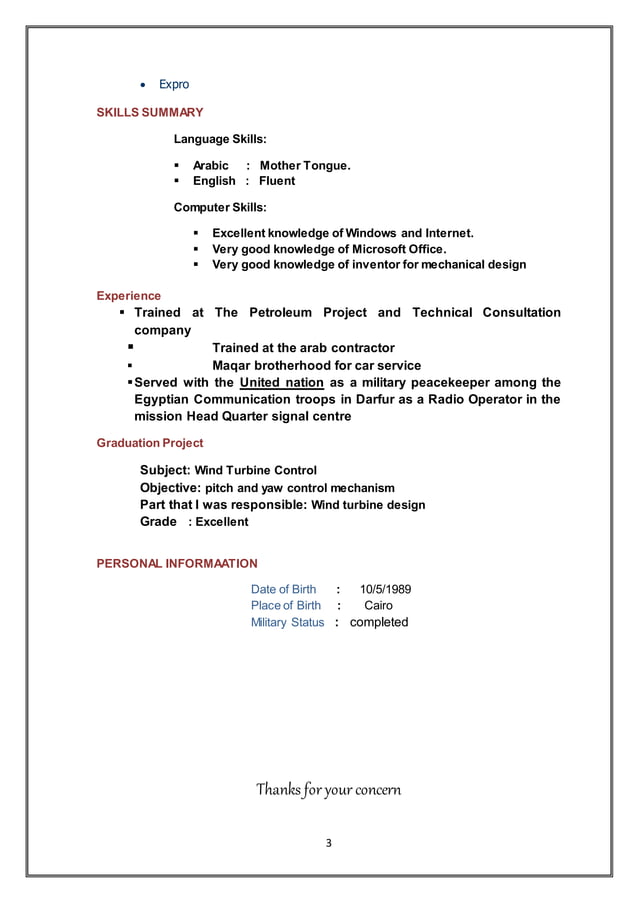 Maged cv(2) | DOCX