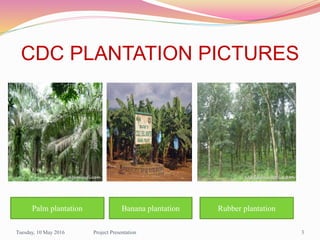 SLS PRESENTATION | PPTX