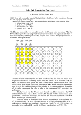 HeLa Transfection GFP & LUX DNA nTMAG & OzBiosciences nanoparticles- | PDF
