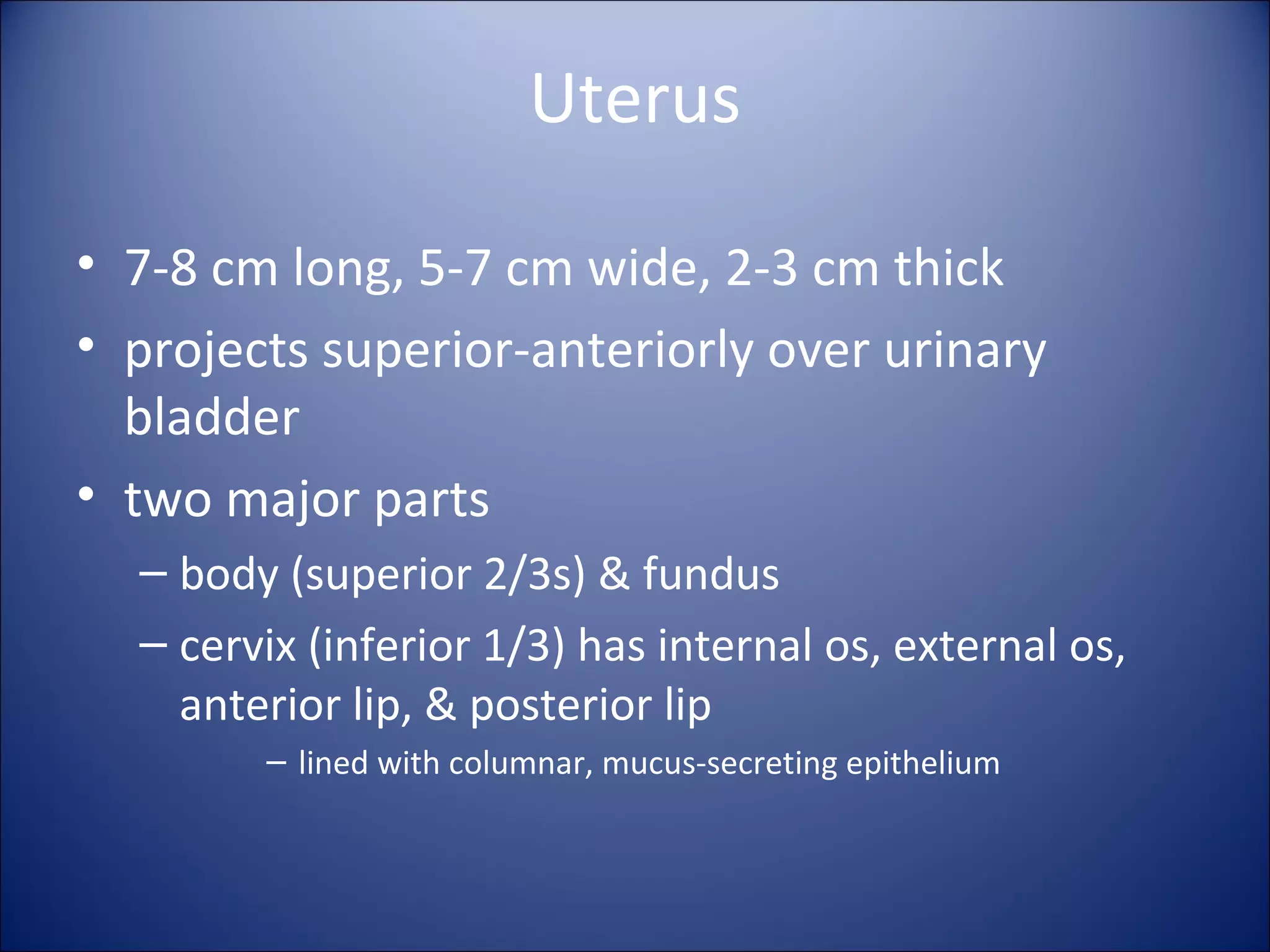 Anatomy of female genital tract | PPT
