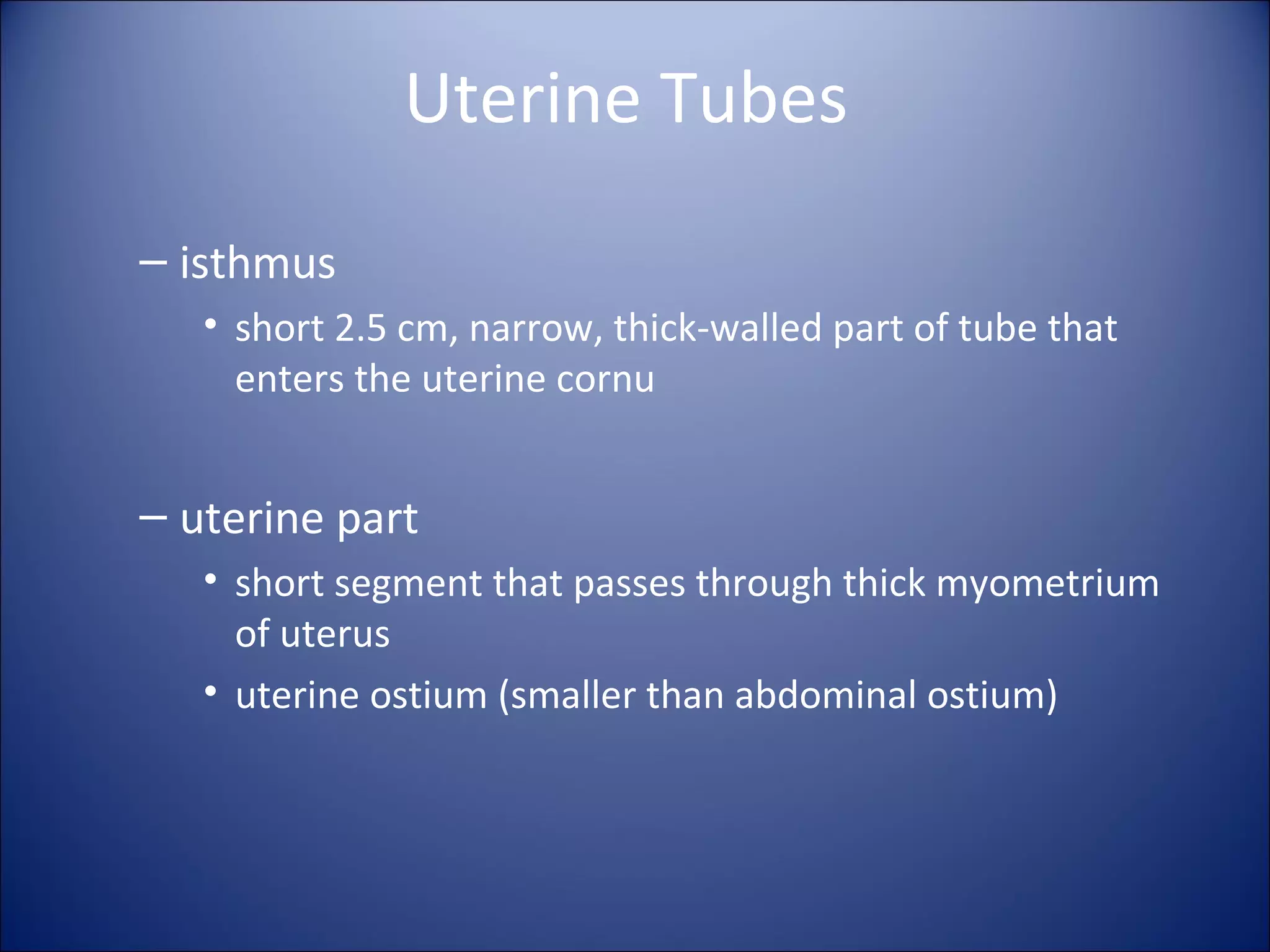 Anatomy of female genital tract | PPT