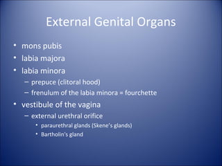 Anatomy of female genital tract | PPT