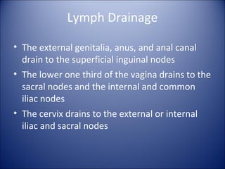 Anatomy of female genital tract | PPT
