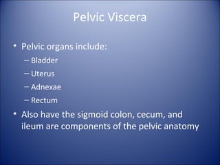 Anatomy of female genital tract | PPT
