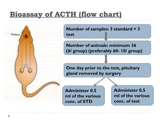 Bioassay of ACTH | PPT