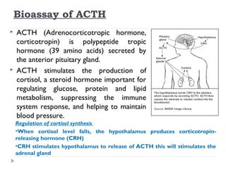 Bioassay of ACTH | PPT