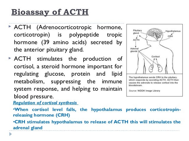 What tropic hormone stimulates cortisol from the adrenal gland - etpthat