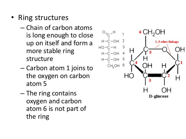 2 Biochemical molecules