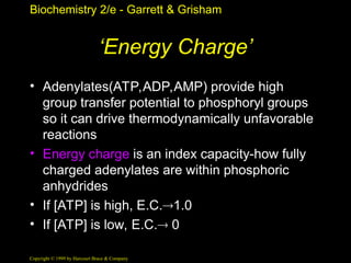 2 BIOENERGETICS. relationship interchange | PPT