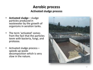 Biological Basis of Wastewater Treatment.pptx