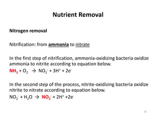 Biological Basis of Wastewater Treatment.pptx