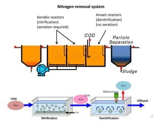 Biological Basis of Wastewater Treatment.pptx
