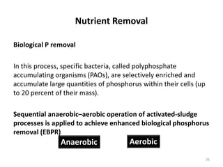 Biological Basis of Wastewater Treatment.pptx