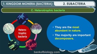 2 biological classification.ppsx.pptx