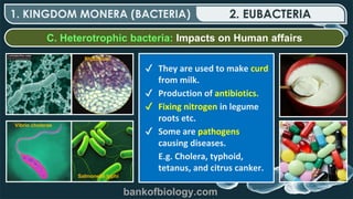 2 biological classification.ppsx.pptx