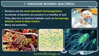 2 biological classification.ppsx.pptx