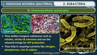 2 biological classification.ppsx.pdf
