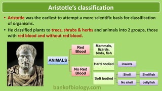 2 biological classification.ppsx.pdf