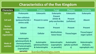 2 biological classification.ppsx.pdf