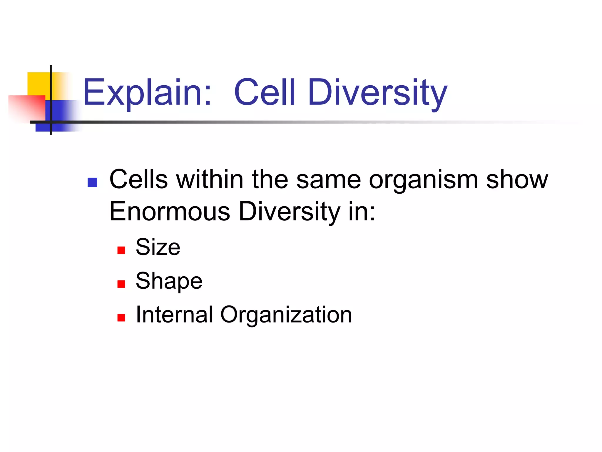 2 Biology 1_2_07 Pro vs Eu Cells.ppt