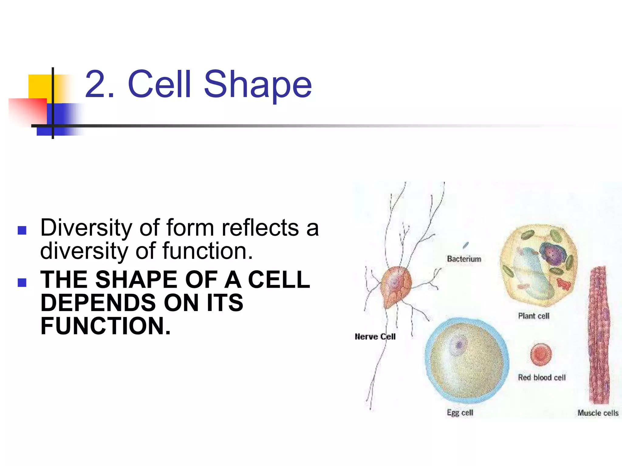 2 Biology 1_2_07 Pro vs Eu Cells.ppt