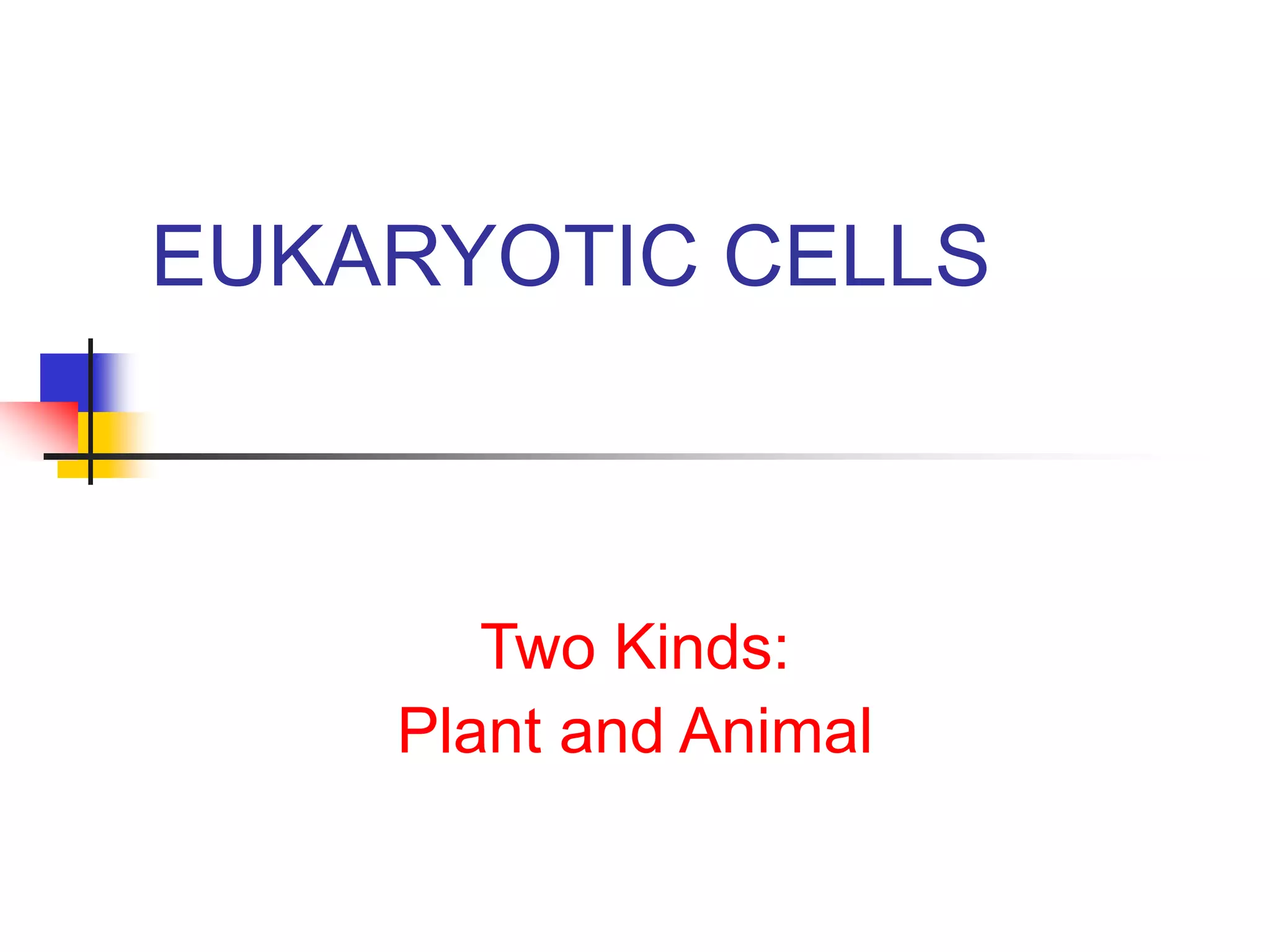 2 Biology 1_2_07 Pro vs Eu Cells.ppt