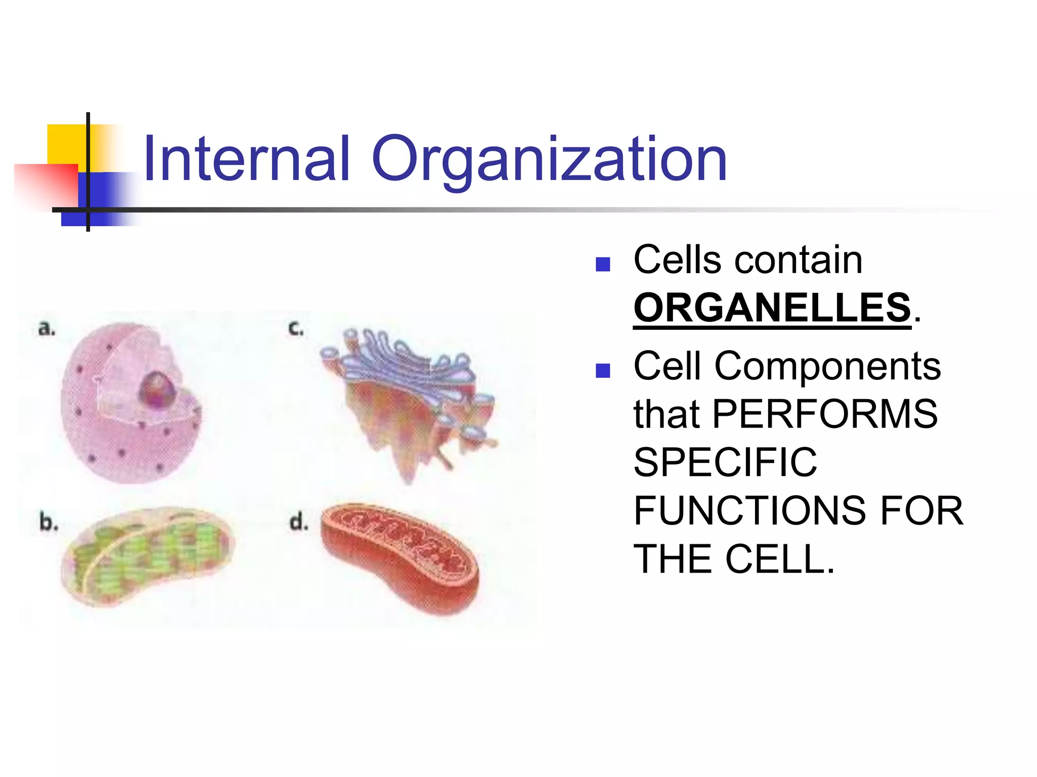 2 Biology 1_2_07 Pro vs Eu Cells.ppt