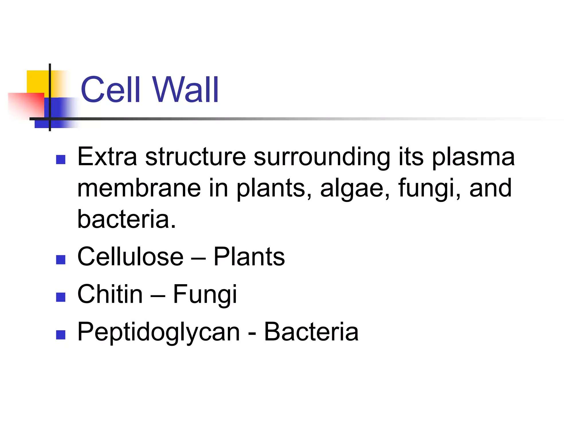 2 Biology 1_2_07 Pro vs Eu Cells.ppt