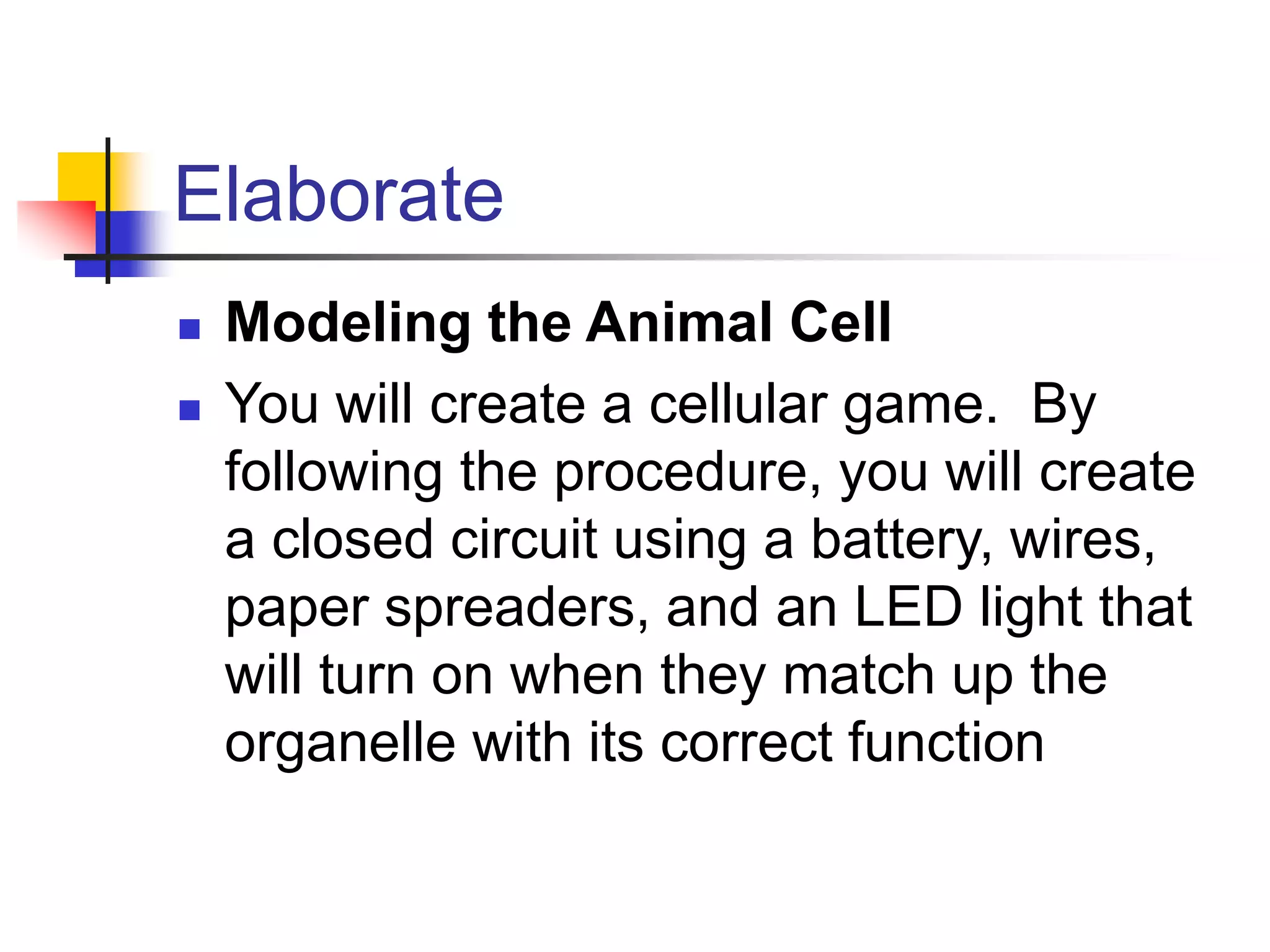 2 Biology 1_2_07 Pro vs Eu Cells.ppt | Free Download