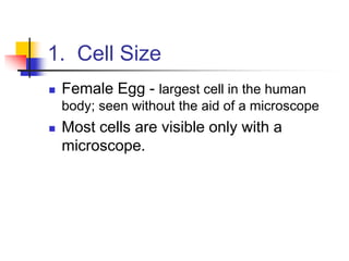 2 Biology 1_2_07 Pro vs Eu Cells.ppt
