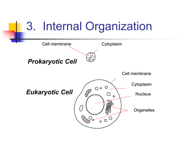 2 Biology 1_2_07 Pro vs Eu Cells.ppt