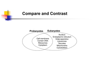 2 Biology 1_2_07 Pro vs Eu Cells.ppt