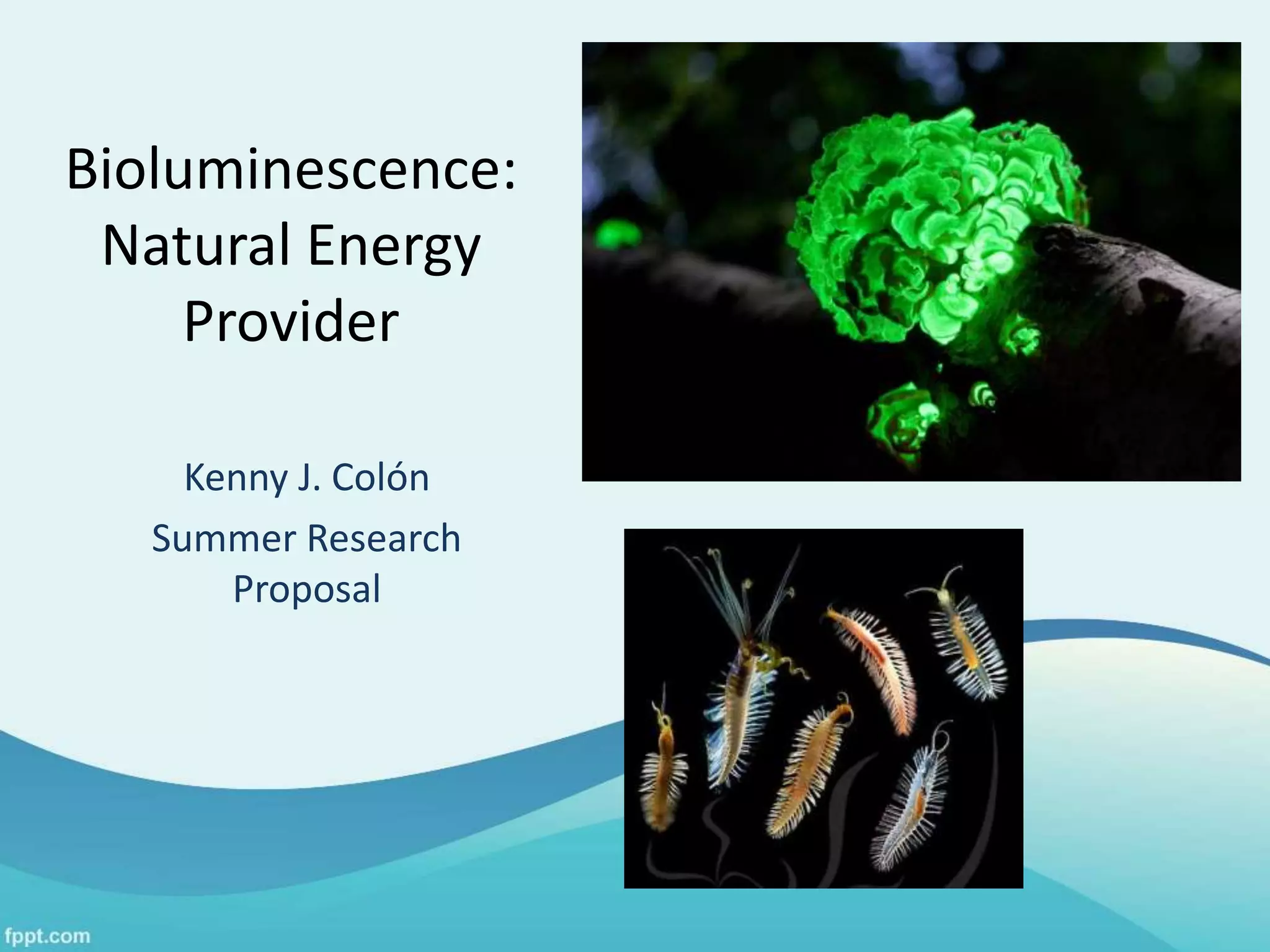 Bioluminescence: Natural Energy Provider | PPTX