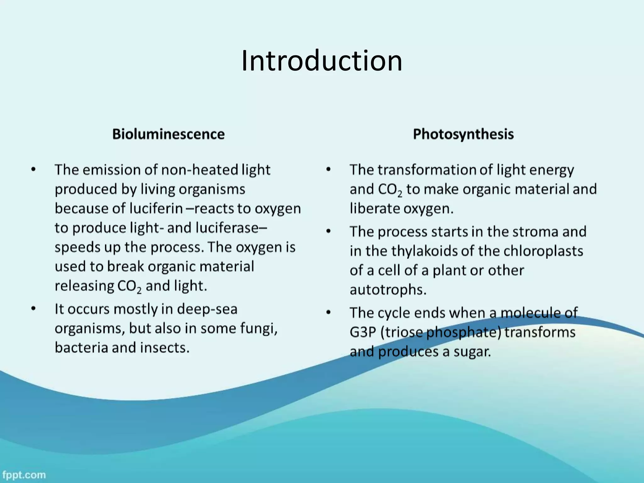 Bioluminescence: Natural Energy Provider | PPTX | Biological Sciences ...