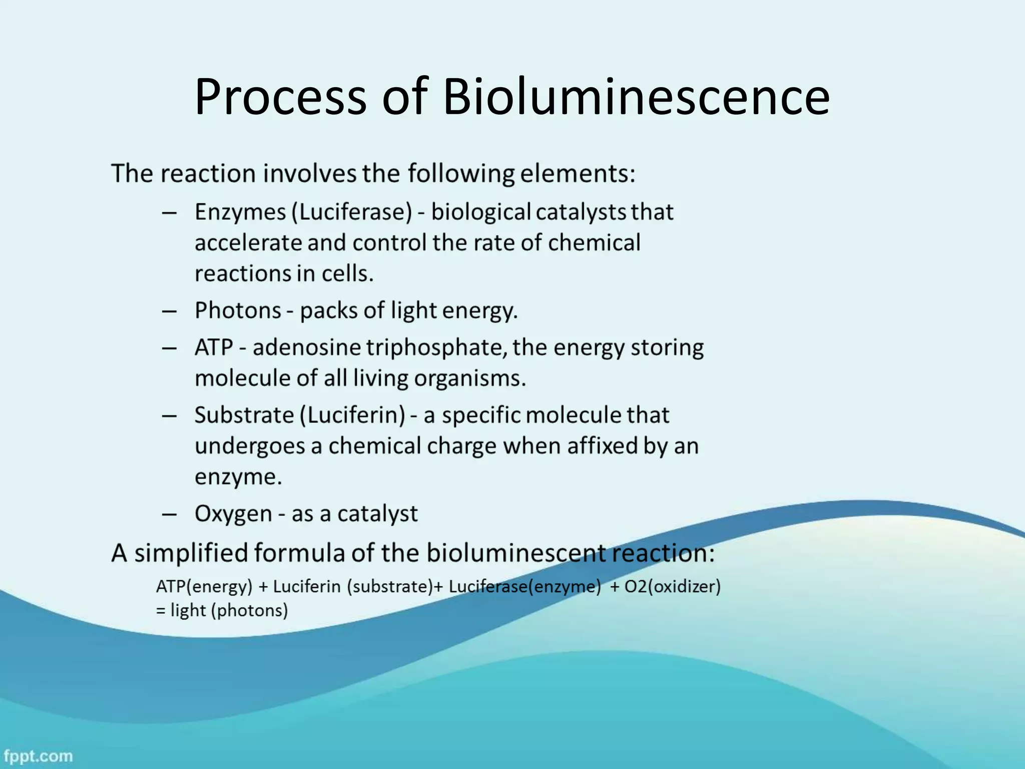 Bioluminescence: Natural Energy Provider | PPTX | Biological Sciences ...