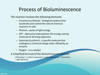 Bioluminescence: Natural Energy Provider | PPTX | Biological Sciences ...