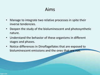 Bioluminescence: Natural Energy Provider | PPTX | Biological Sciences ...