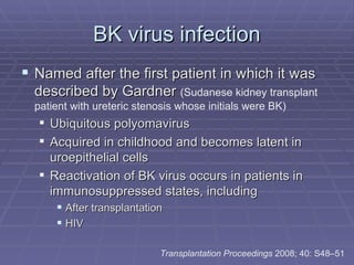 2 bk virus infection post renal transplant | PPT