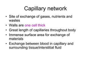 Chapter 8 Transport in Humans Lesson 2 - Types of blood vessels | PPT