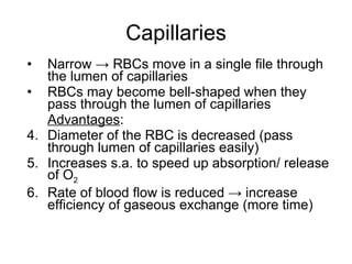 Chapter 8 Transport in Humans Lesson 2 - Types of blood vessels | PPT