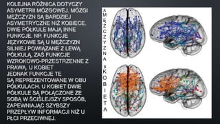 Martyna Wilczyńska 2B | PPT