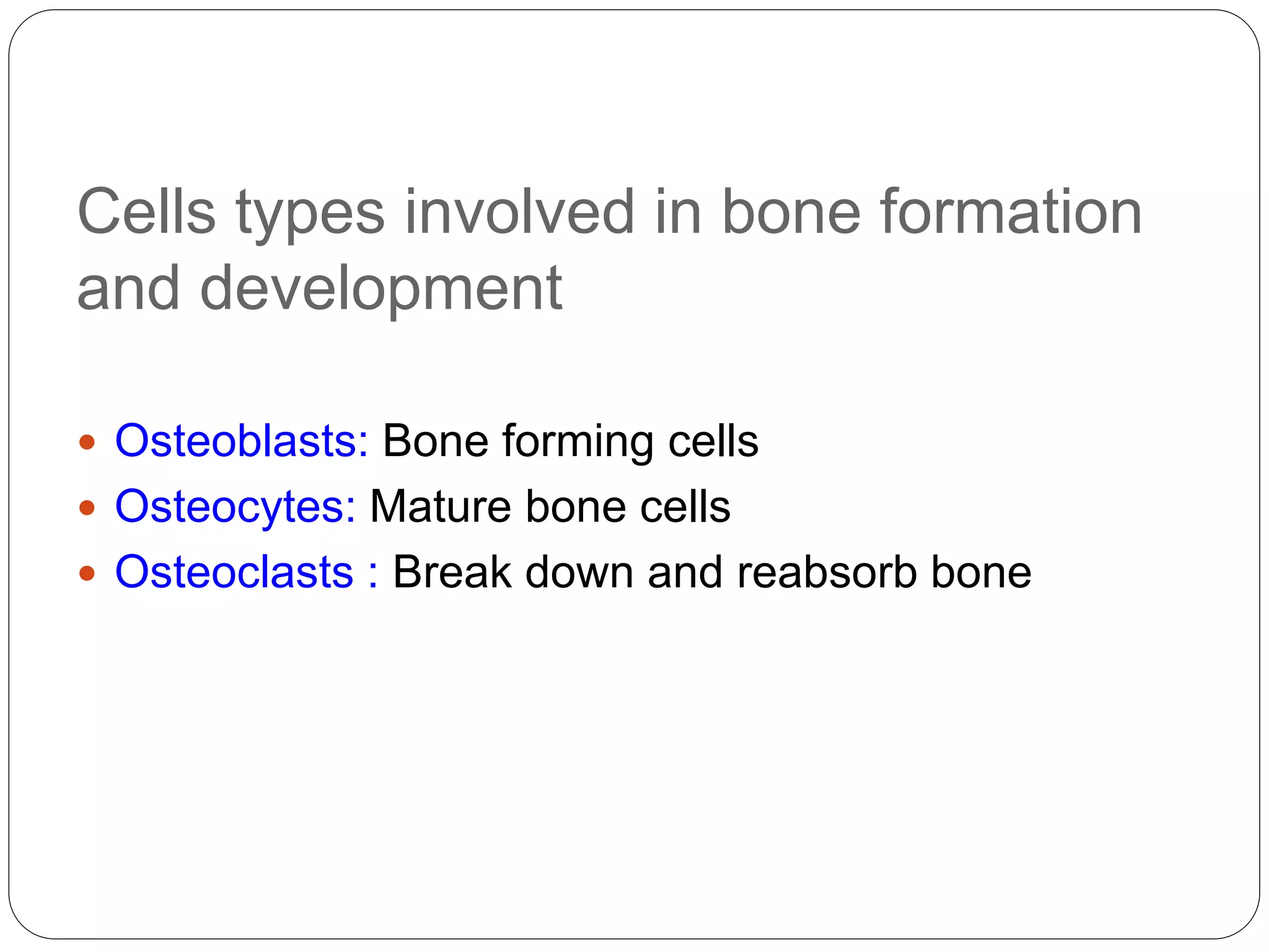 general anatomy and development of bones | PPTX