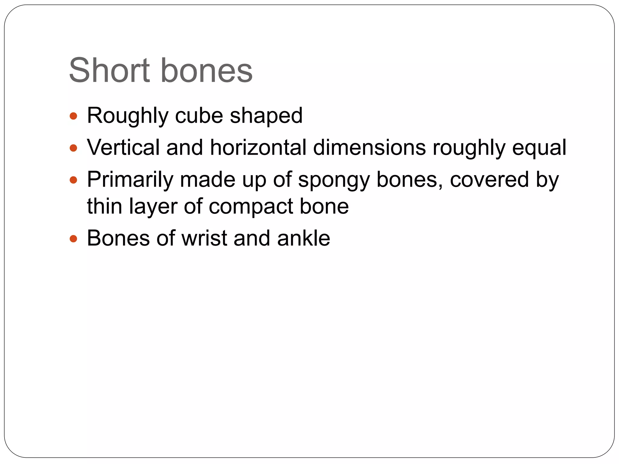 general anatomy and development of bones | PPTX