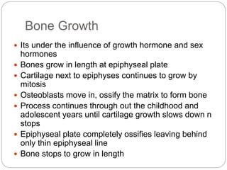 general anatomy and development of bones | PPTX