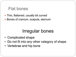 general anatomy and development of bones | PPTX