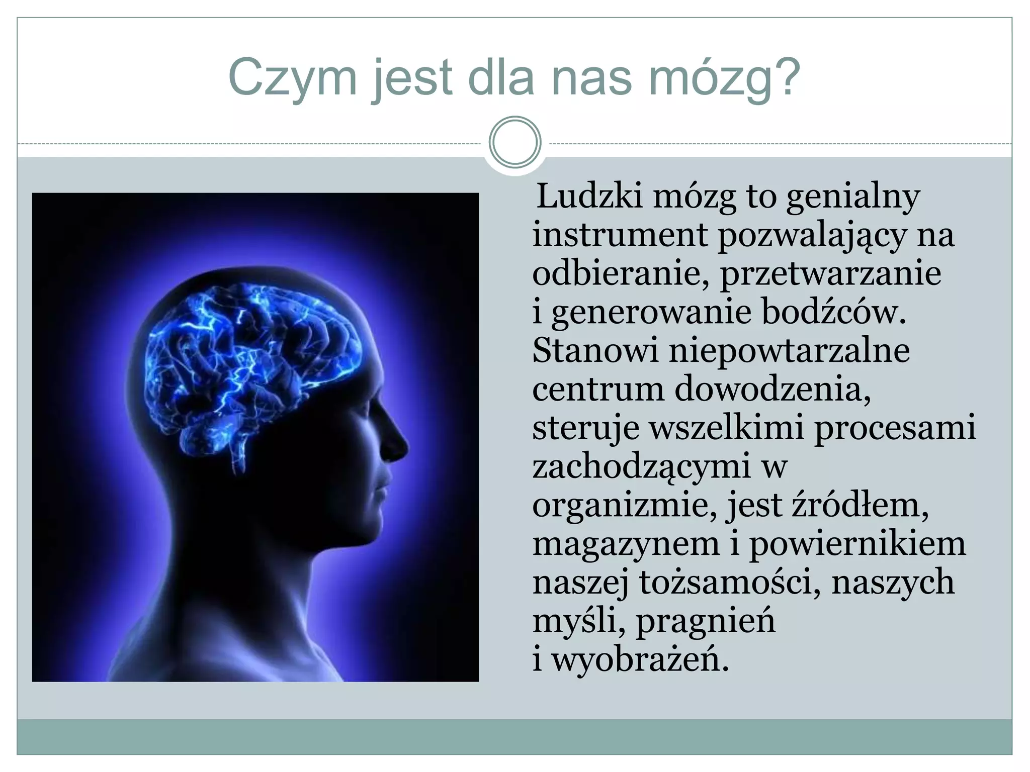 Patrycja Dorosiewicz, Magdalena Cudak 2B | PPT