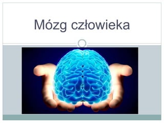 Patrycja Dorosiewicz, Magdalena Cudak 2B | PPT